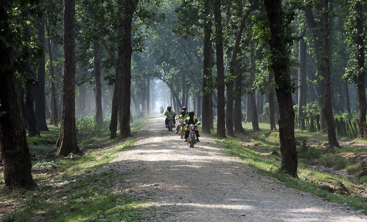 HOME - WILD TRACKS NEPAL